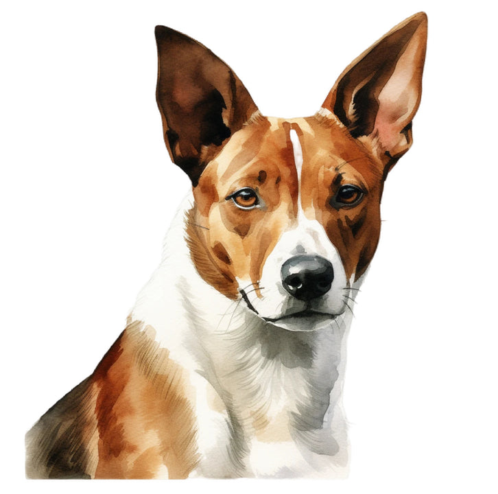 Basenji Dog 100% Cotton Fabric Panel Block AE189 – Saphie's Fabrics