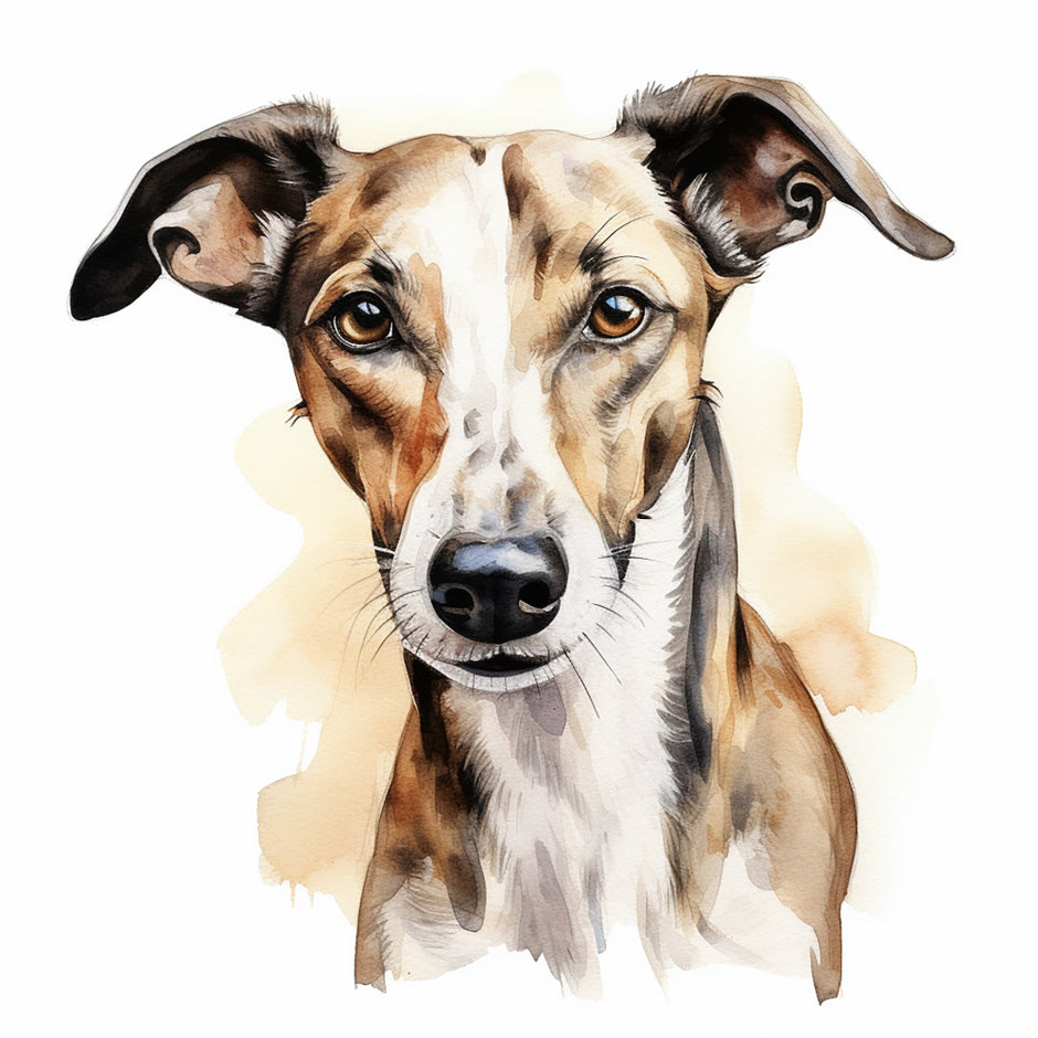 Greyhound Dog 100% Cotton Fabric Panel Block AE485 – Saphie's Fabrics